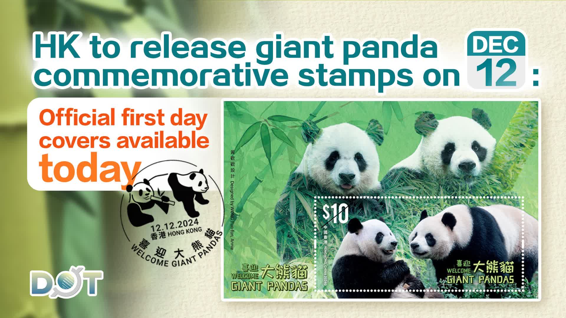 A Panda's Life Cycle Irene Cronin On Prezi